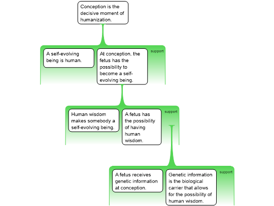 Rationale - online argument mapping